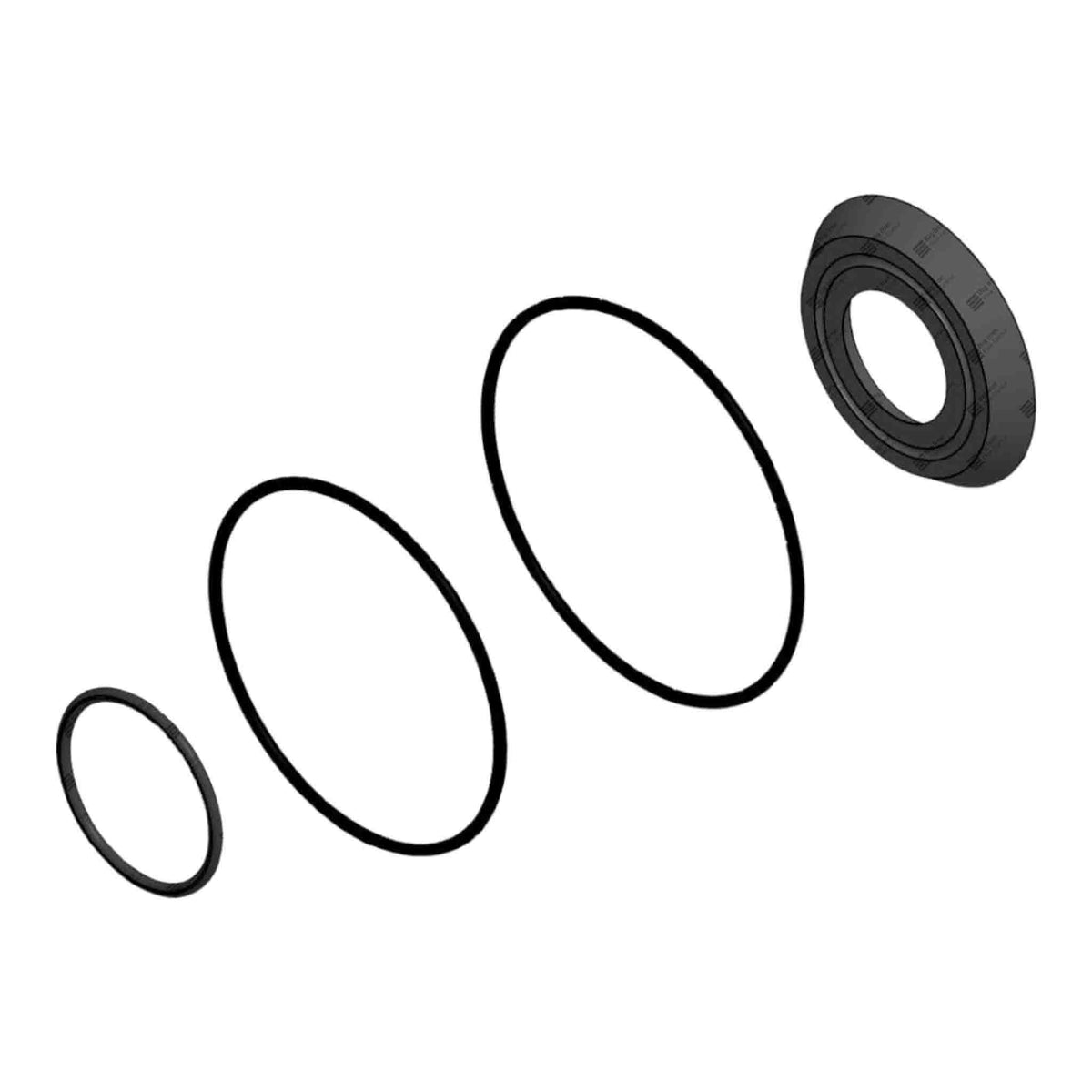 Check Valve Repair Kit, Minor, RDI Dart, 2" 1502 – Big Iron Flow Control